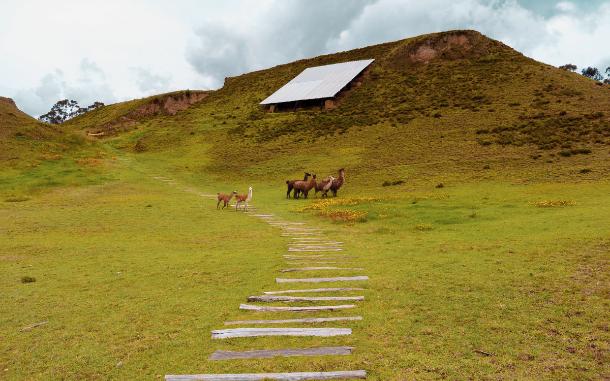 Camping- Cochasqui Archaeological Park - Visit Ecuador 360