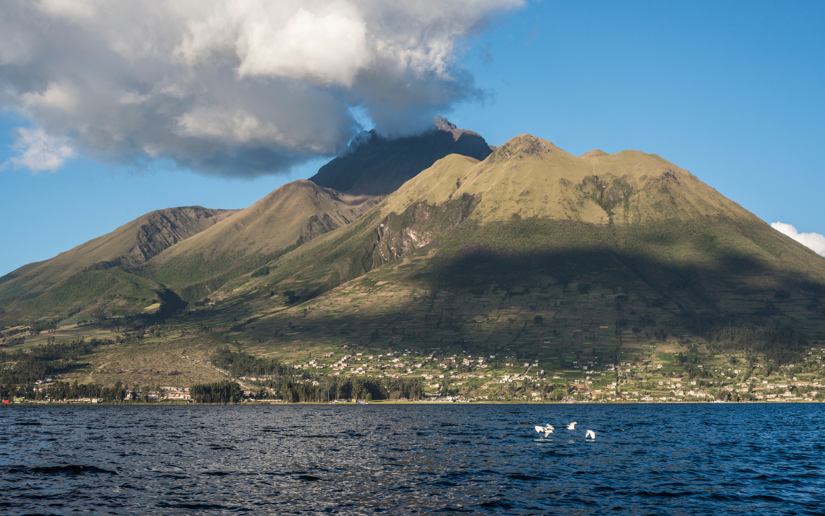 Full Day Otavalo+ Wild deer - Visit Ecuador 360