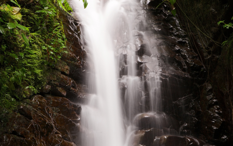 Full Day Mindo - Visit Ecuador 360