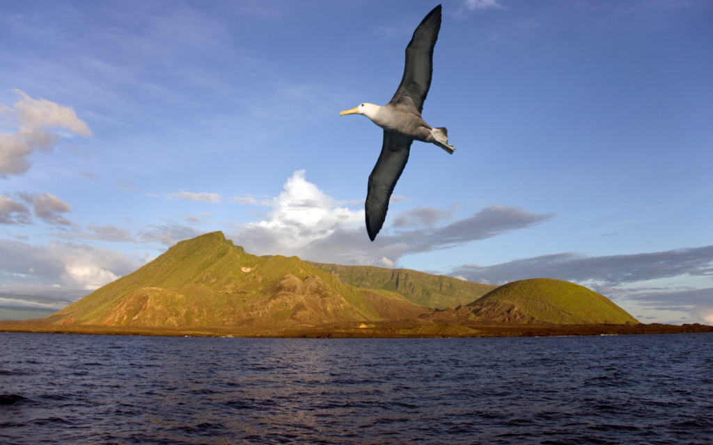 Galapagos Southern Loop 8D/7N Cruise - Visit Ecuador 360