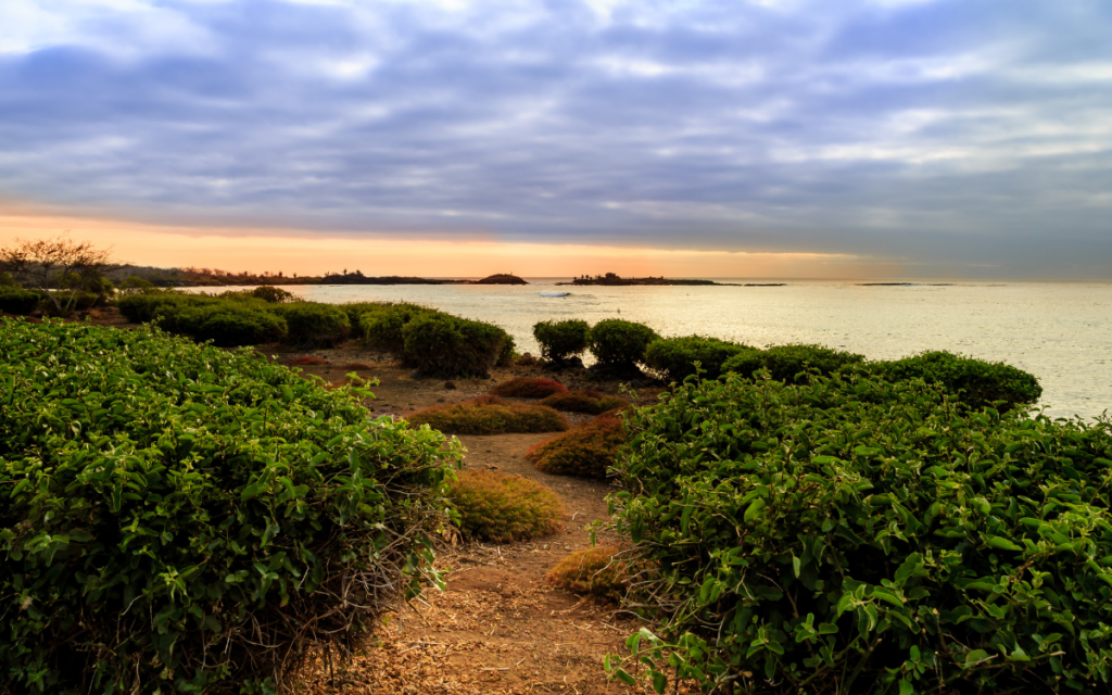 Galapagos Southern Loop 8D/7N Cruise - Visit Ecuador 360